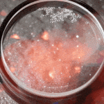 The Gem Filter – Liquid Diamond Sparkle for Photography | SZ Filters