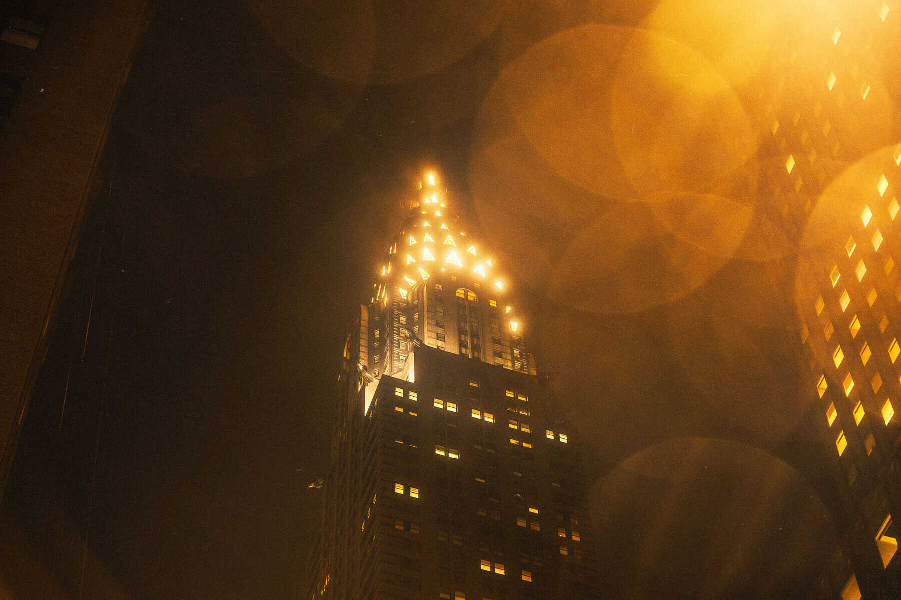 The Midas Touch Filter – Golden Glow Effects for Photography | SZ Filters